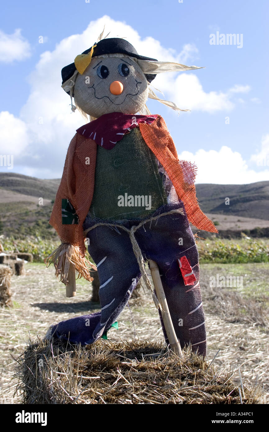 Scarecrow in Farm along Highway 1 California Stock Photo - Alamy