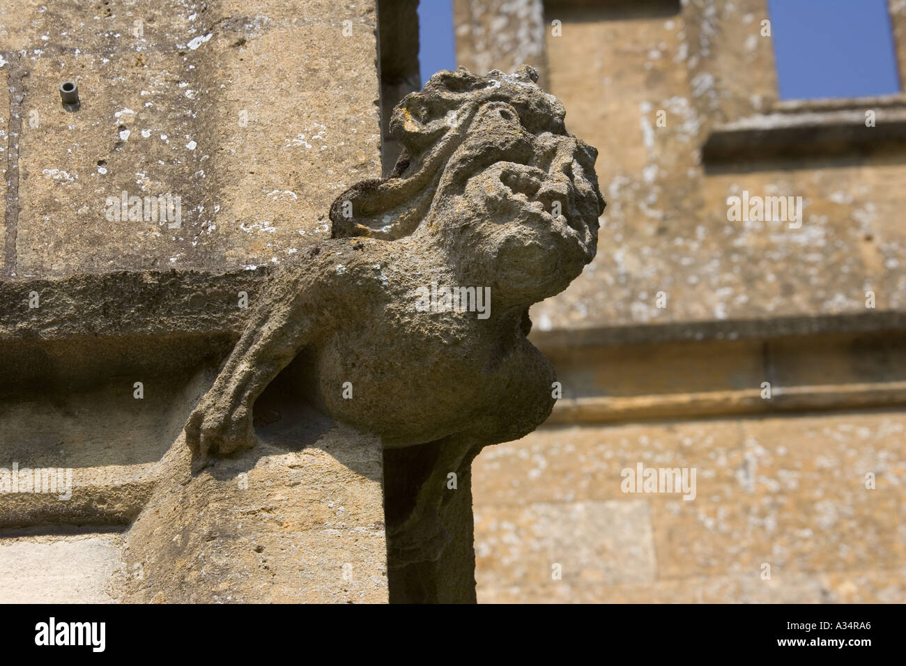 Weathered gargoyle affected by acid rain St Peters Church Winchcombe UK ...