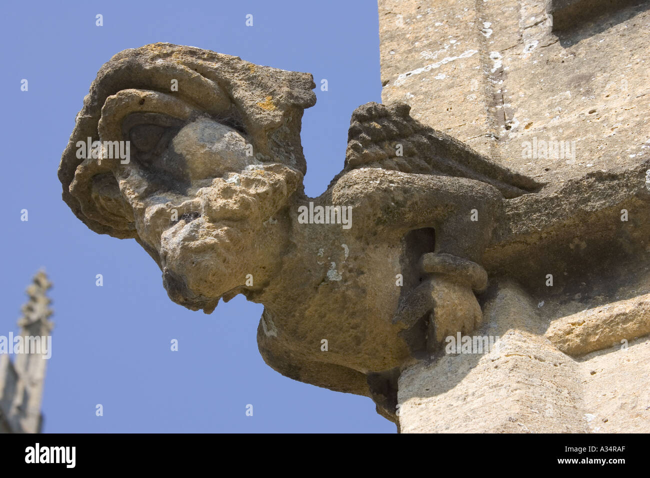 Weathered gargoyle affected by acid rain St Peters Church Winchcombe UK ...