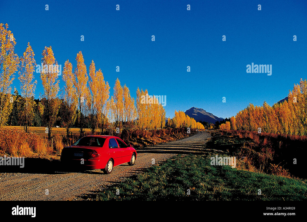 A red car on the road in the countryside Stock Photo - Alamy