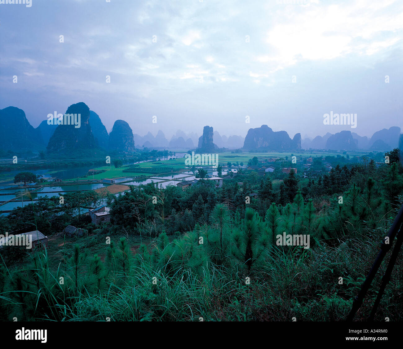 A view on the rice fields in Southeast Asia Stock Photo - Alamy