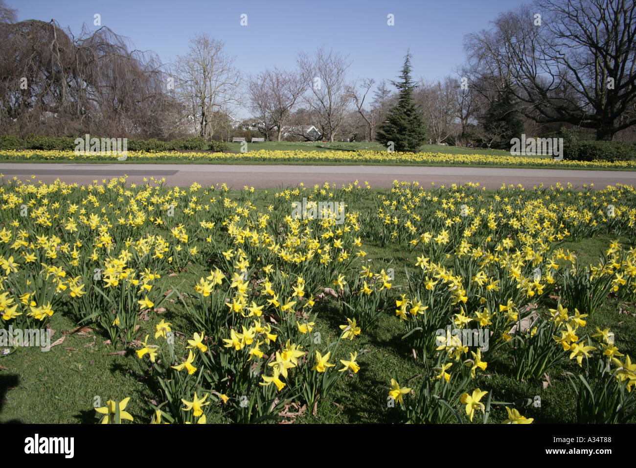 Kew road hi-res stock photography and images - Alamy