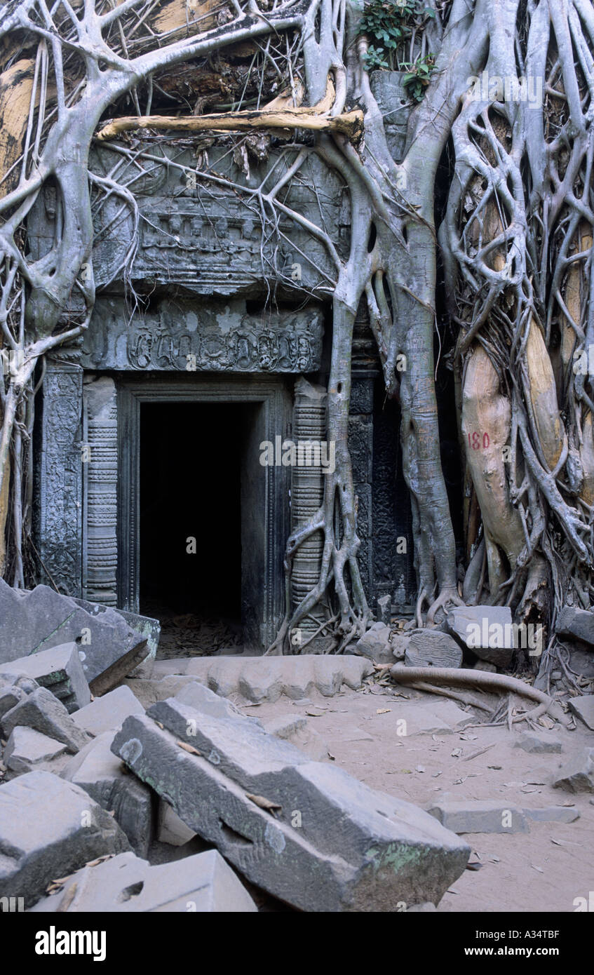 Ta prohm interior cambodia hi-res stock photography and images - Alamy