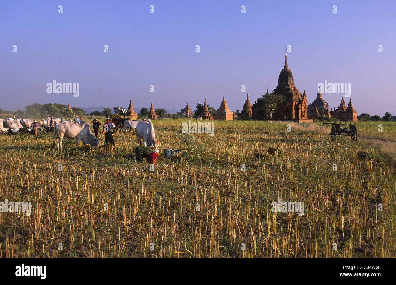 Monument to the farmers hi-res stock photography and images - Alamy