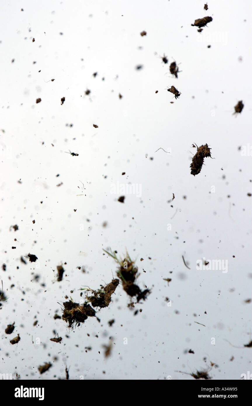 dirt being thrown up bike a dirt bike Stock Photo - Alamy