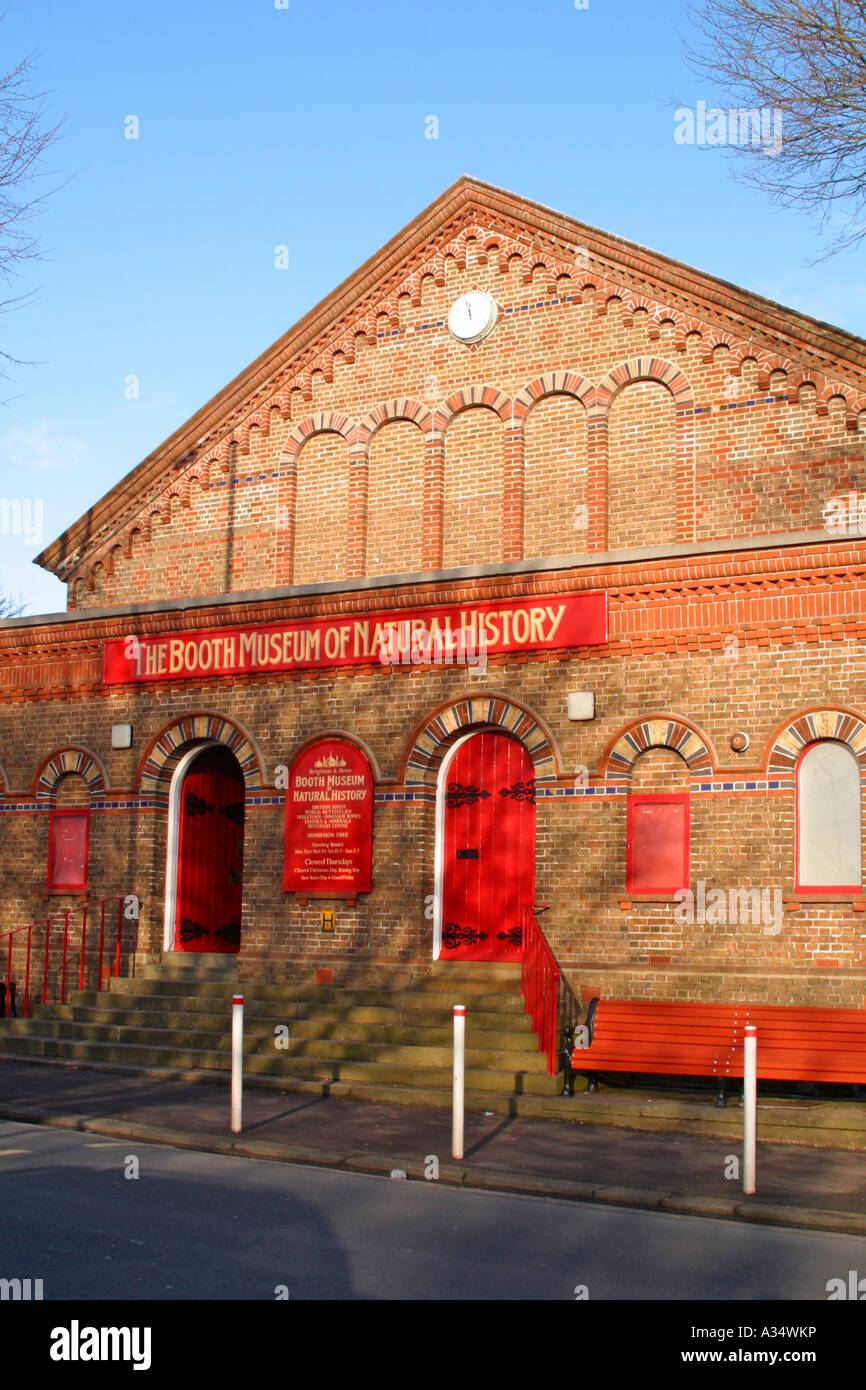 Booth Museum of Natural History, Brighton, East Sussex, England Stock ...