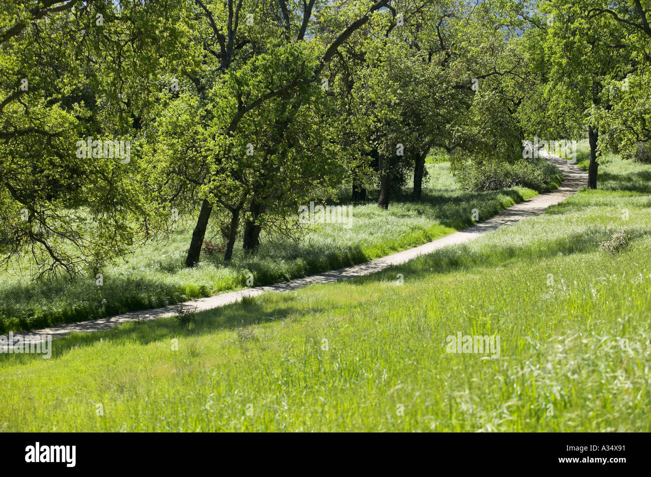 Oak Knoll High Resolution Stock Photography and Images - Alamy