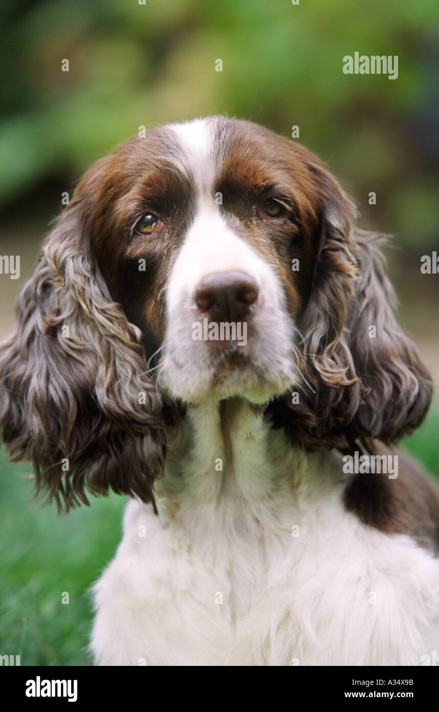 Trusty porter hi-res stock photography and images - Alamy