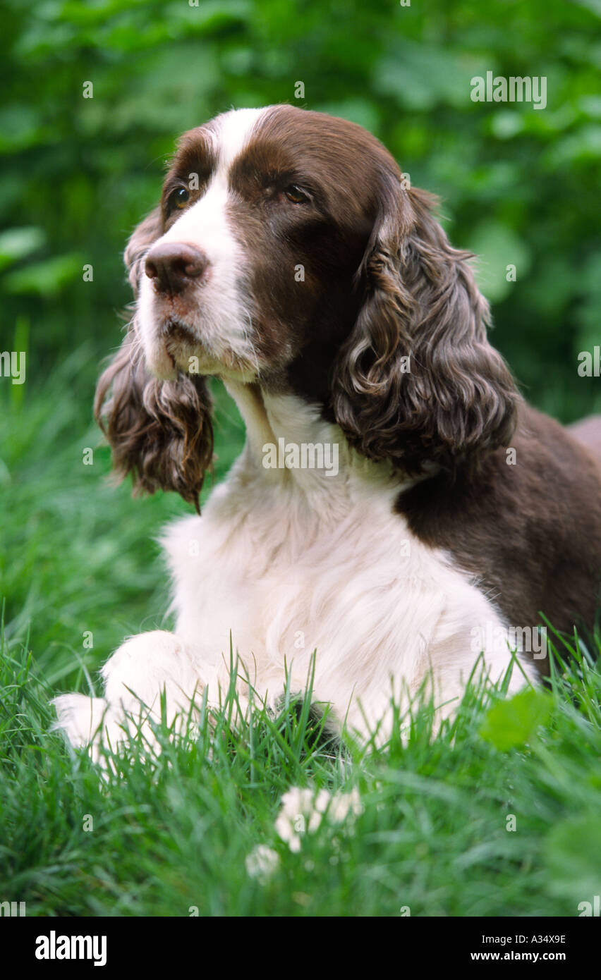 Trusty porter hi-res stock photography and images - Alamy