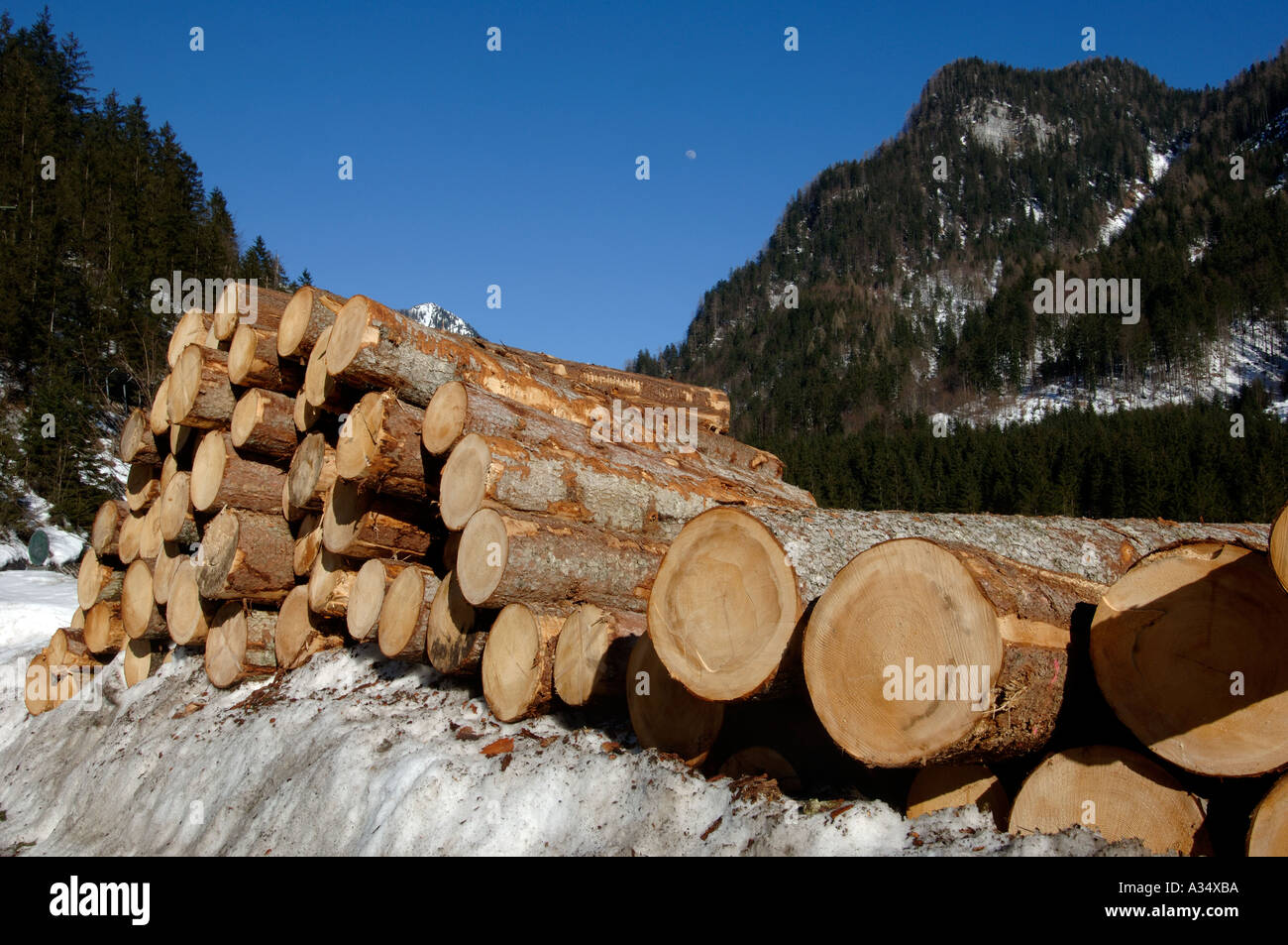 Pile of logs stacked near Gosau to season Salzkammergut Austria Stock ...