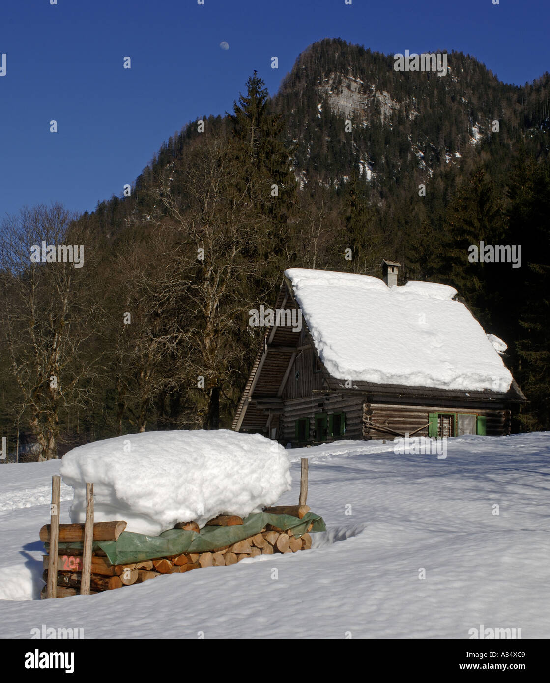 Log cabin and pile of logs buried in snow near Gosau Salzkammergut ...