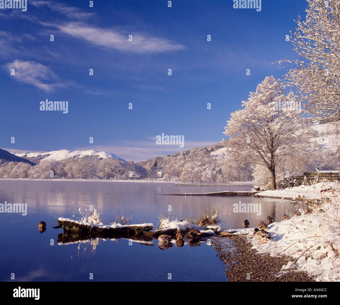 Lochearnhead scotland hi-res stock photography and images - Alamy