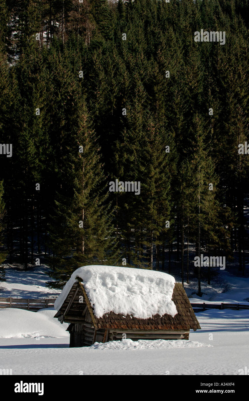 Cabin buried in snow hi-res stock photography and images - Alamy