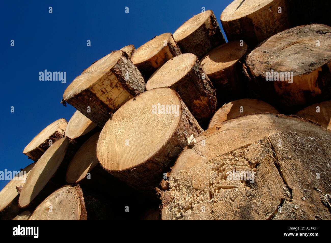Pile of logs stacked near Gosau to season Salzkammergut Austria Stock ...