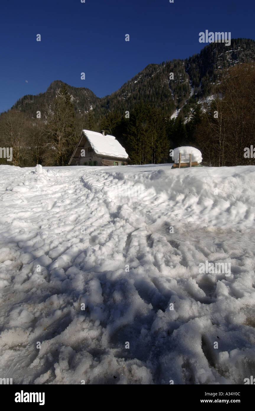 Log cabin and pile of logs buried in snow near Gosau Salzkammergut ...