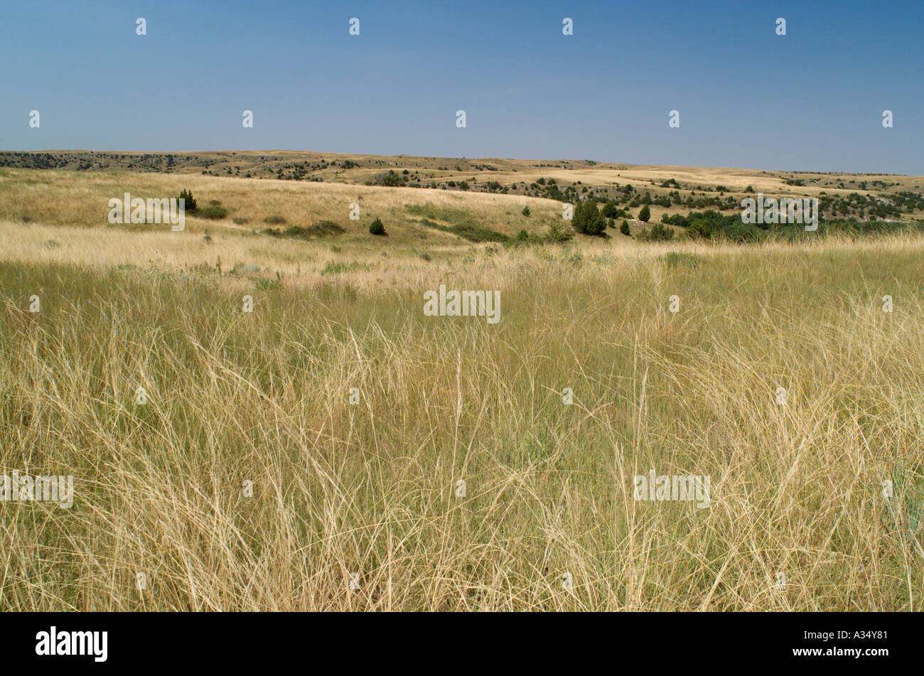 Rolling prairie lands in present day western Nebraska remind us of the ...