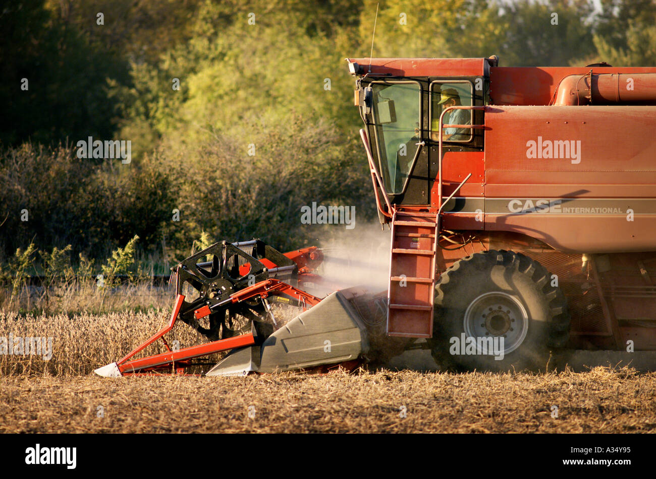 Combine harvesting soybeans in Nebraska Stock Photo - Alamy
