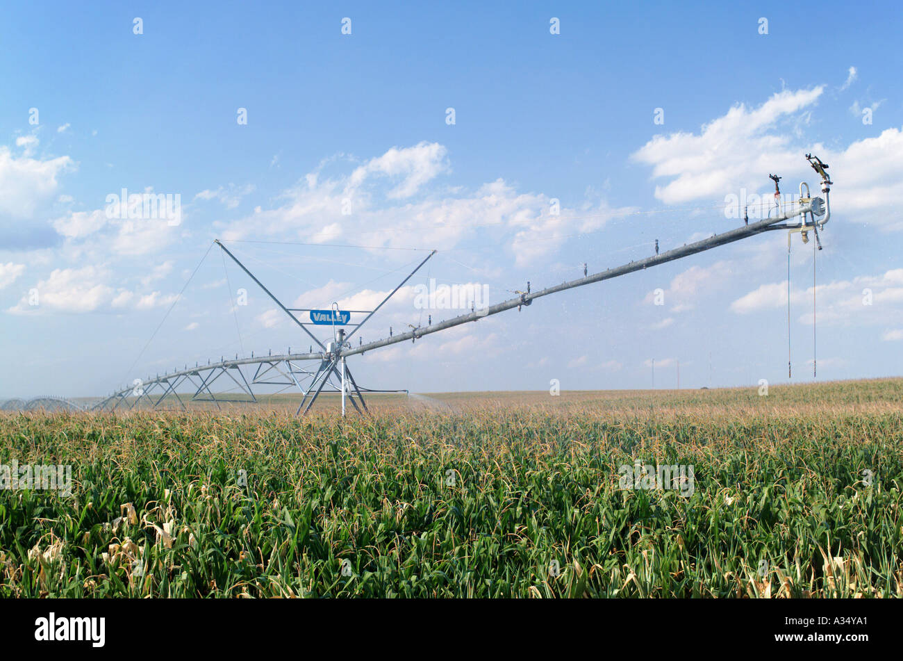 Pivot irrigation in a corn field Stock Photo - Alamy