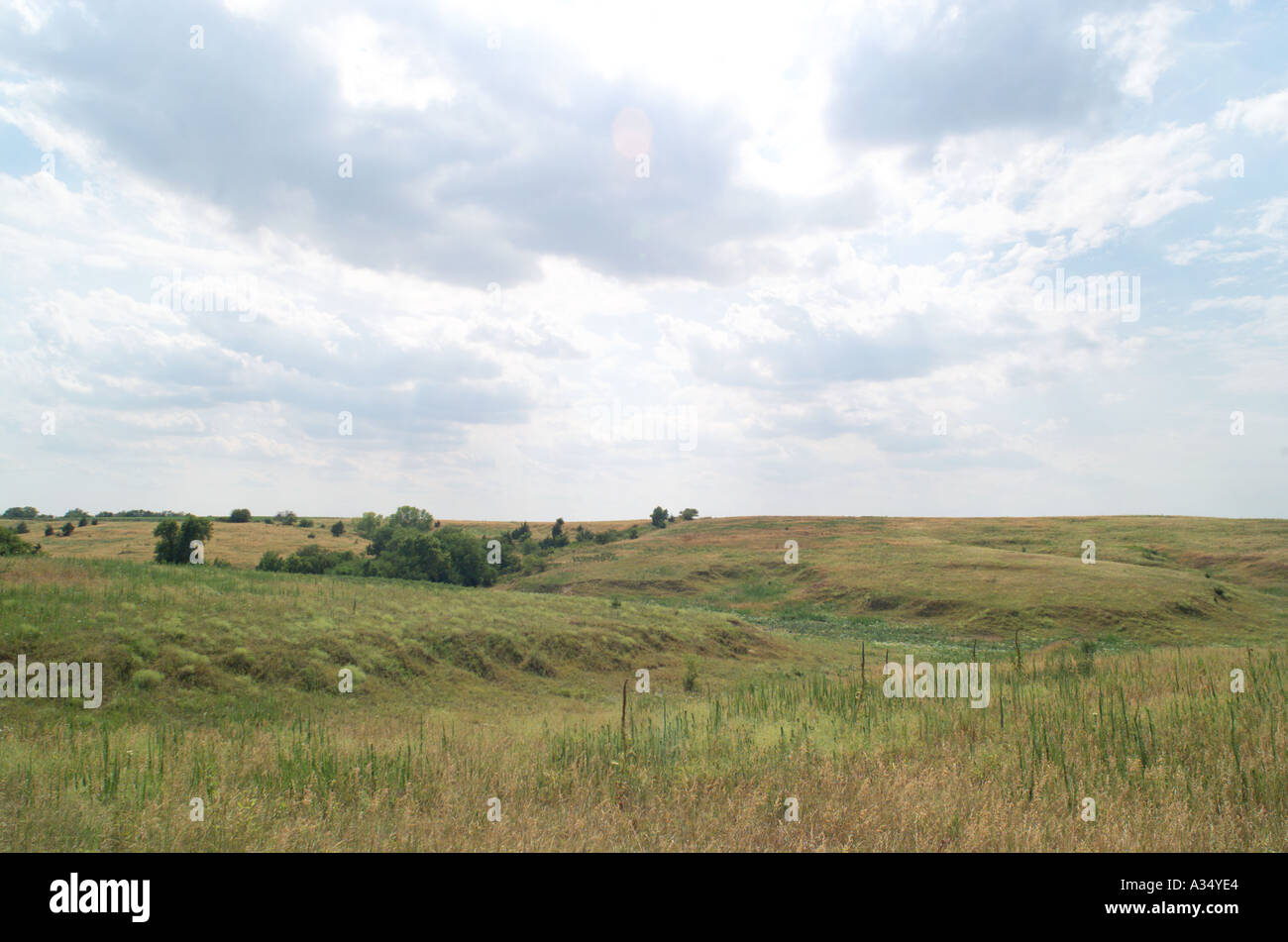 Willa cather hi-res stock photography and images - Alamy