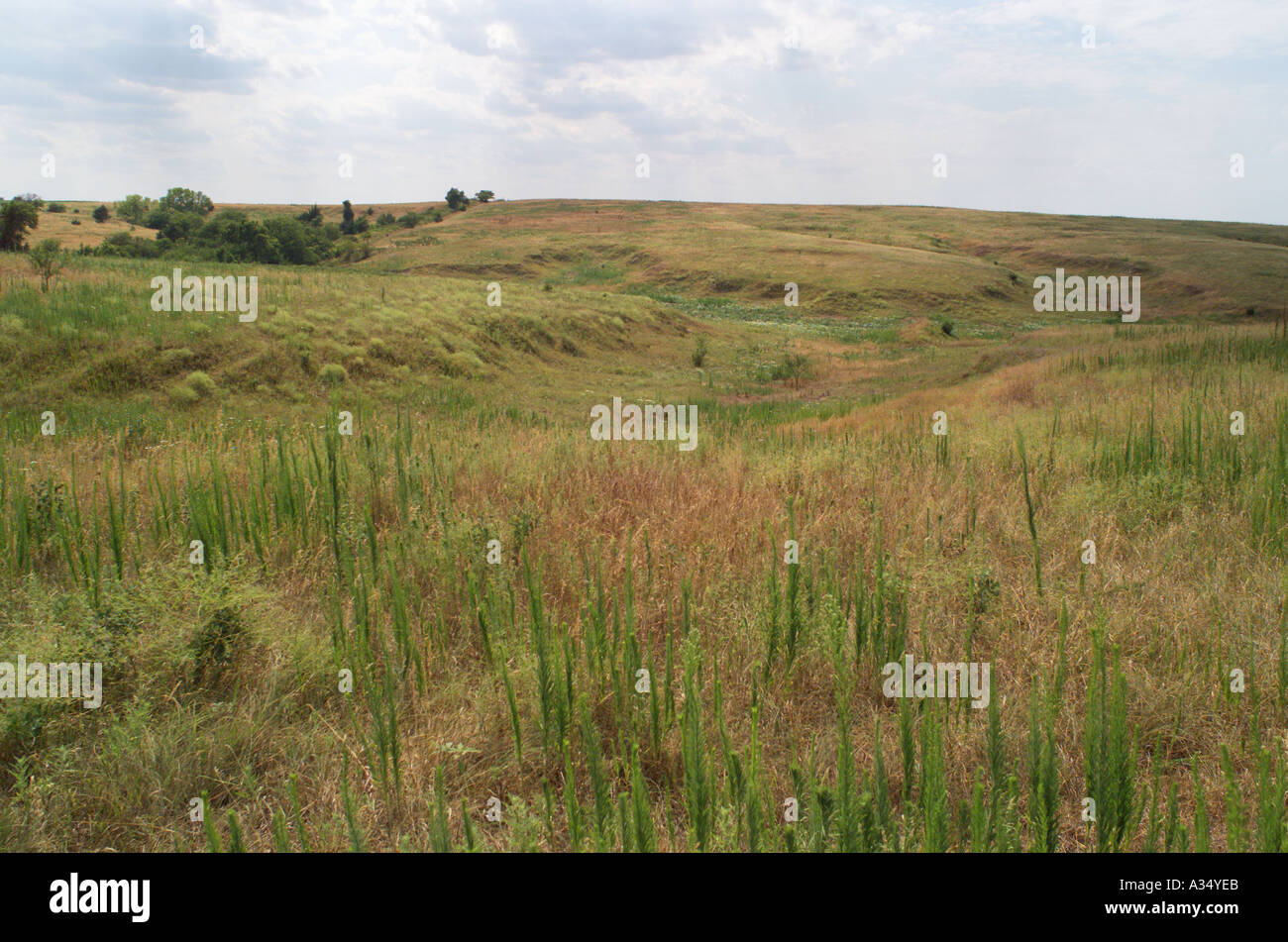 Willa Cather High Resolution Stock Photography and Images - Alamy