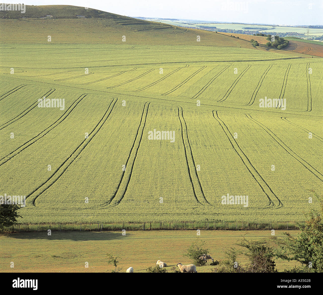Field tram lines hi-res stock photography and images - Alamy