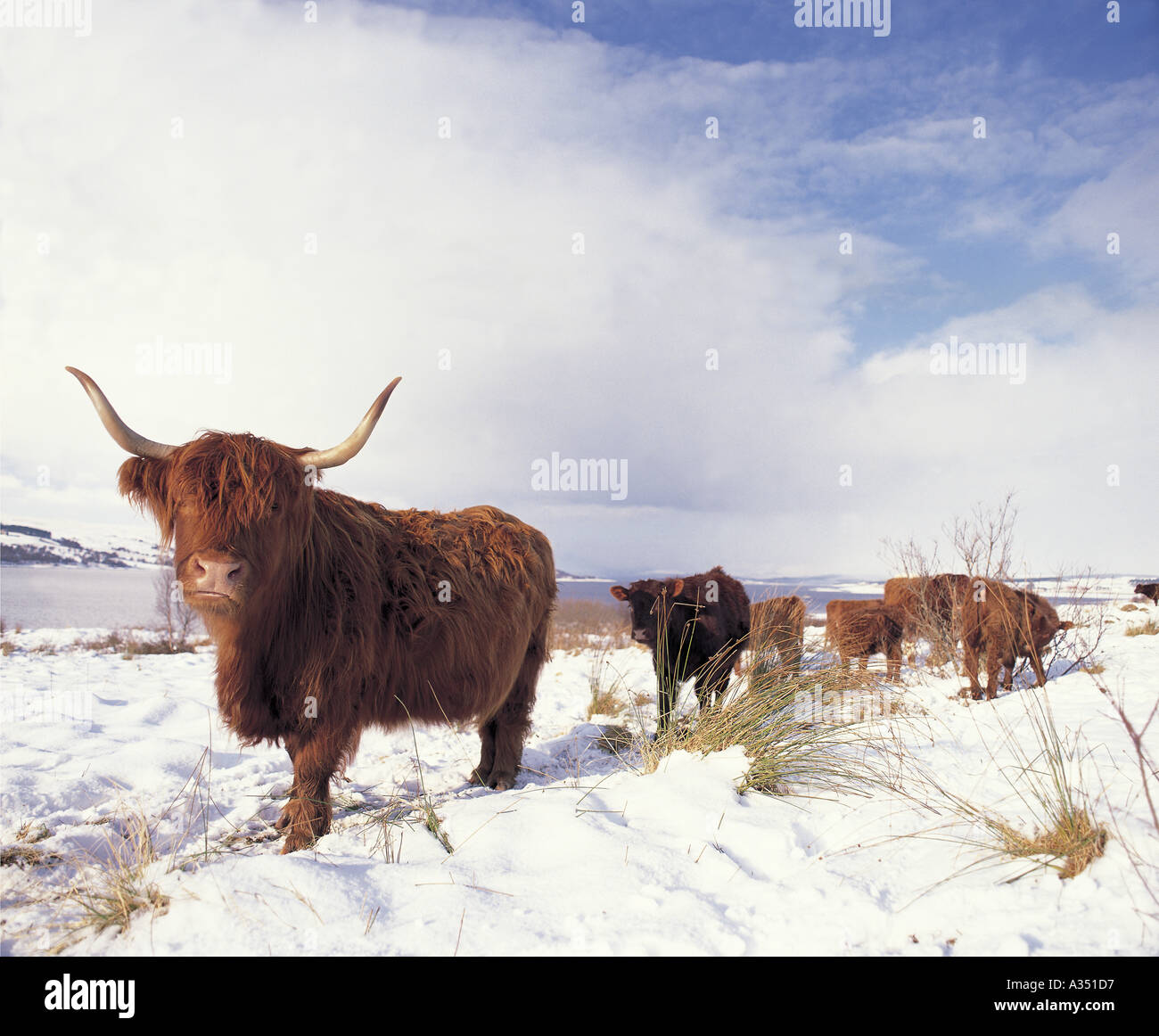 Loch shin snow hi-res stock photography and images - Alamy