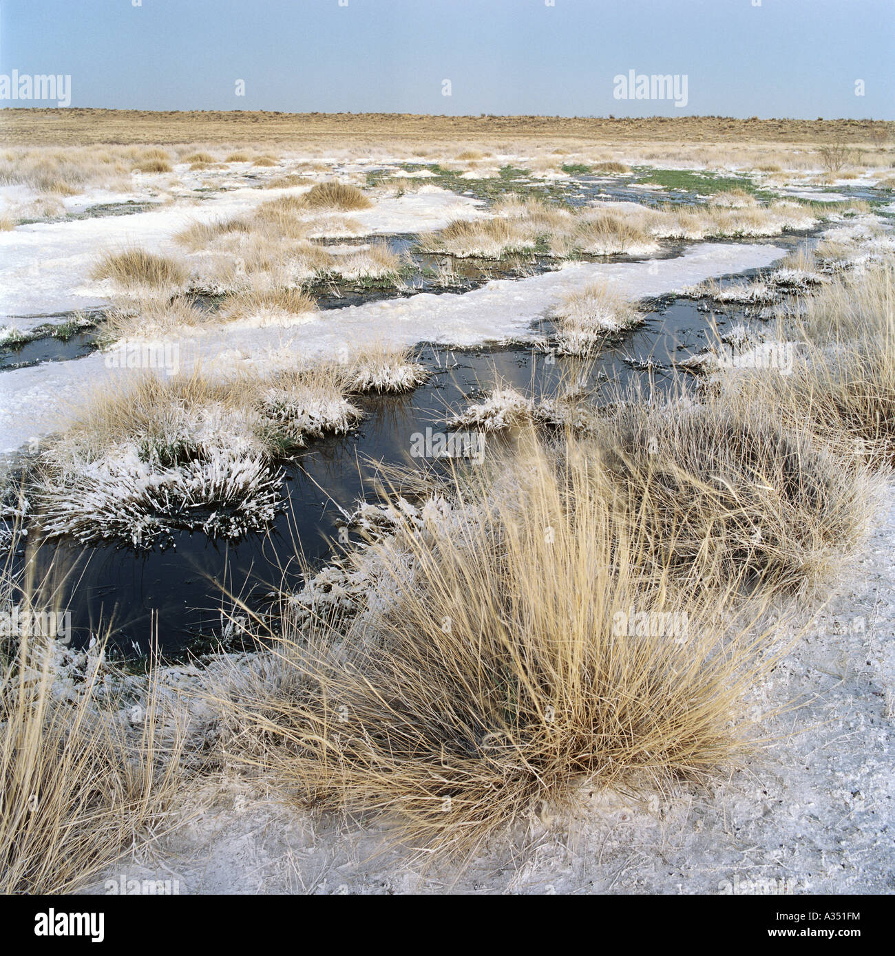 New salt in that hi-res stock photography and images - Alamy