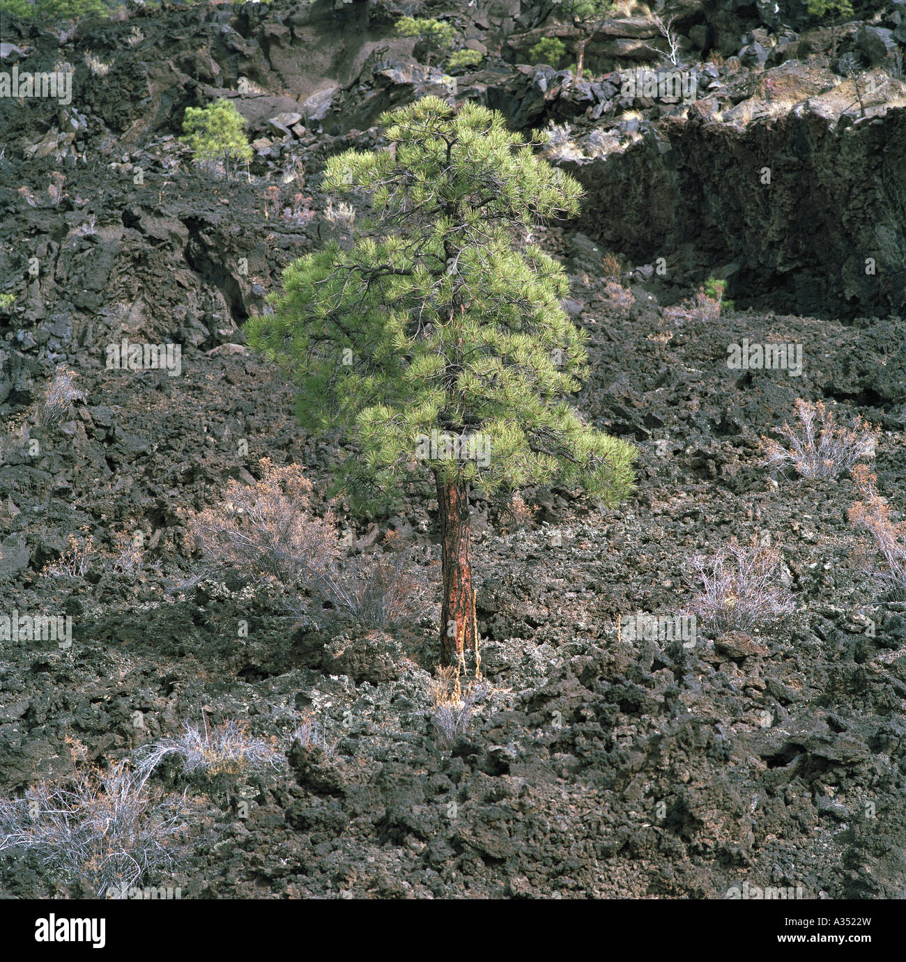 Sunset Crater Volcano National Monument Arizona Stock Photo - Alamy