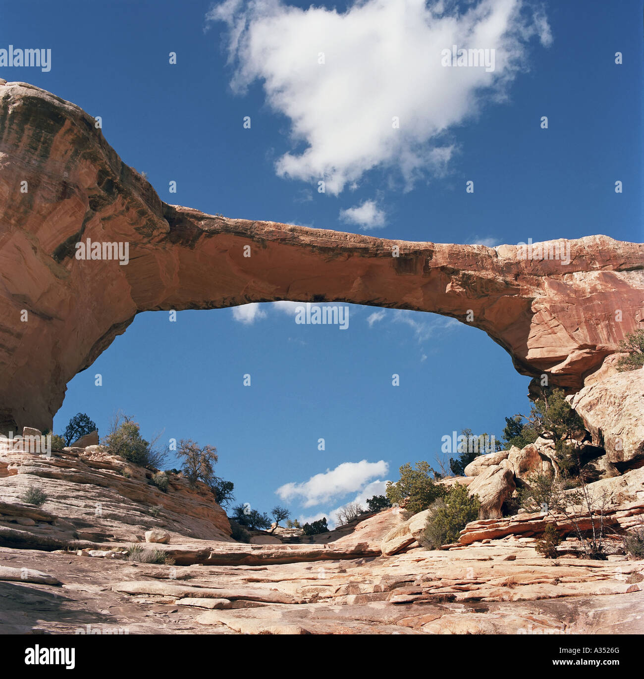 USA Utah Natural Bridges National Monument Owachomo Bridge Stock Photo ...
