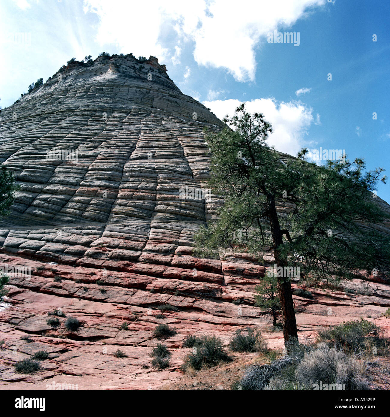 Checkerboard Mountain in Zion National park Utah Stock Photo - Alamy