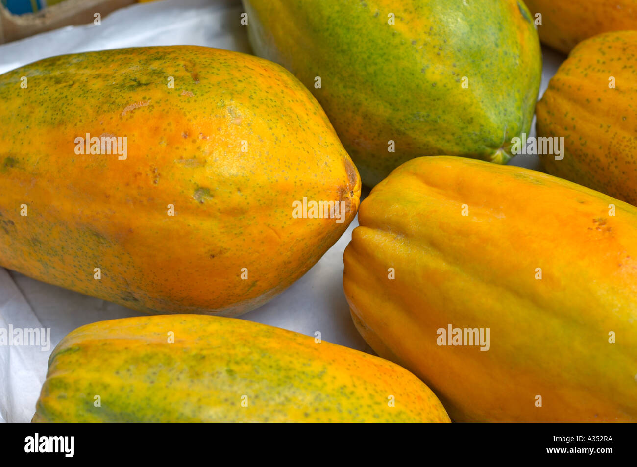 Large yellow papayas close-up Stock Photo - Alamy