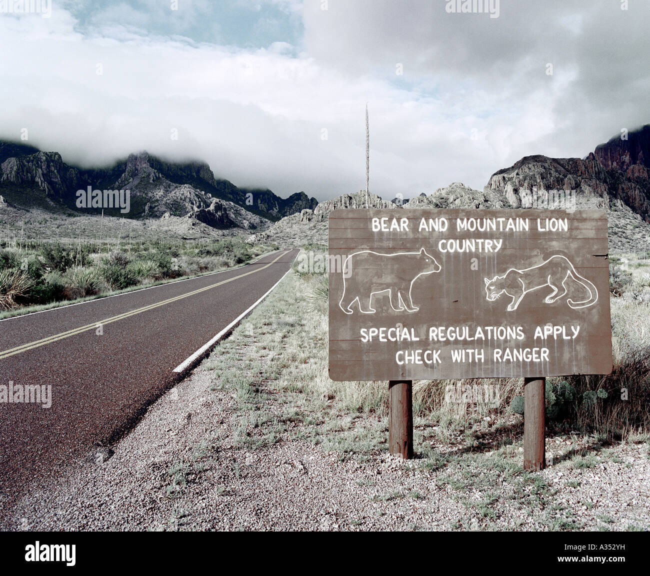 Access road to the Basin in the Chisos Mountains Big Bend National Park ...