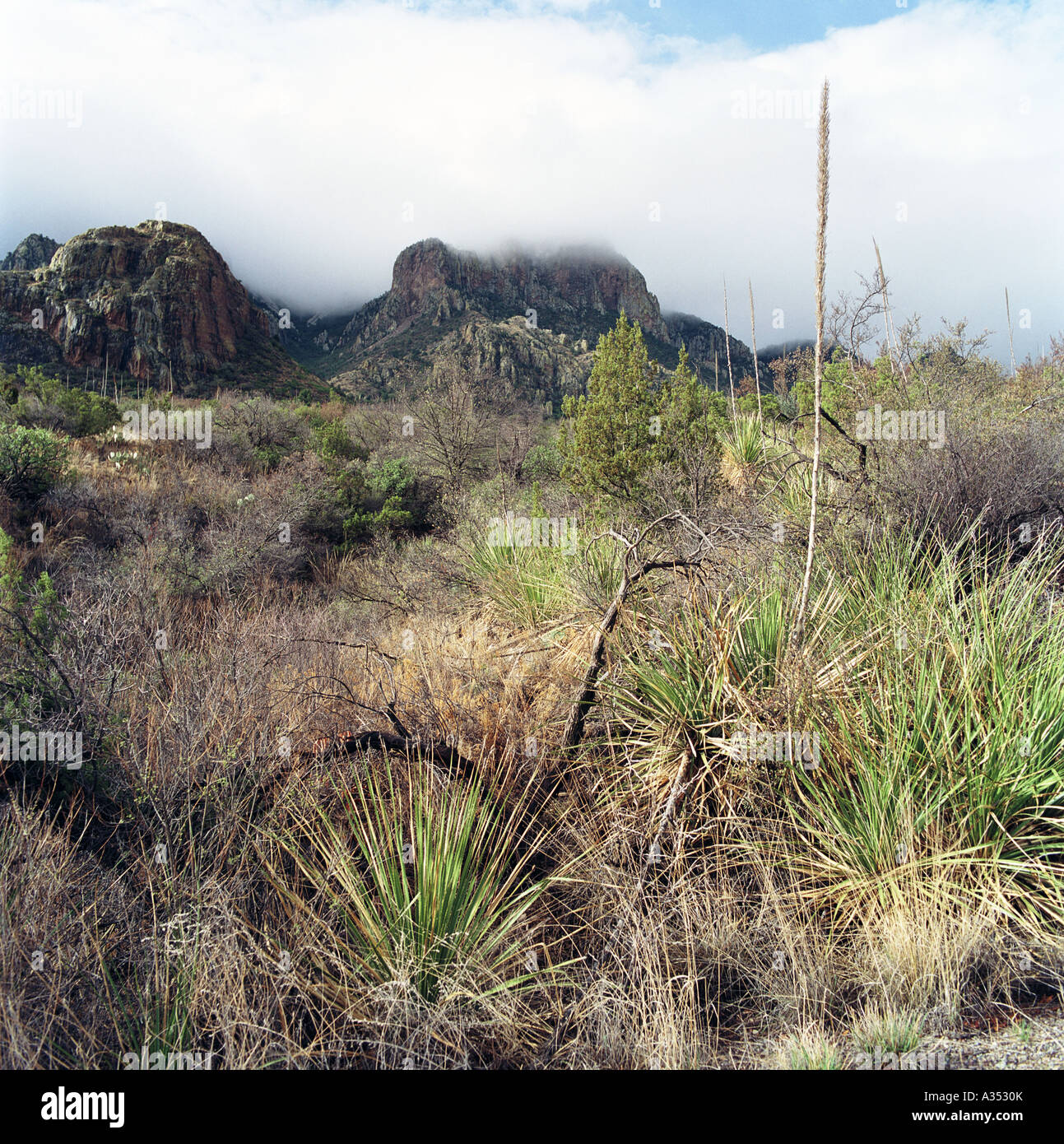 Chisos Mountains in Big Bend National Park Stock Photo - Alamy