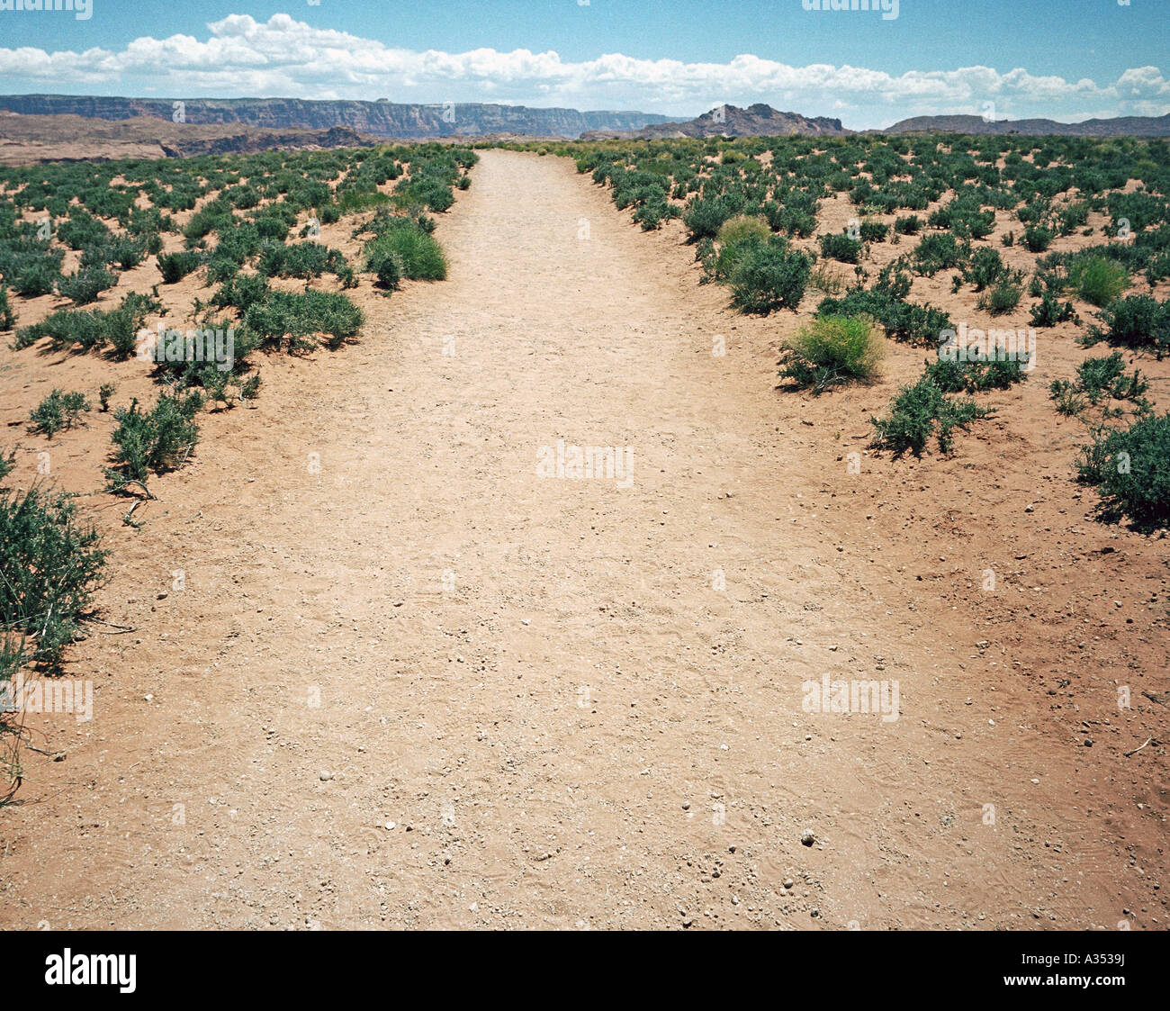 USA Arizona Dirt road in the desert leading to the Horseshoe Bend of ...