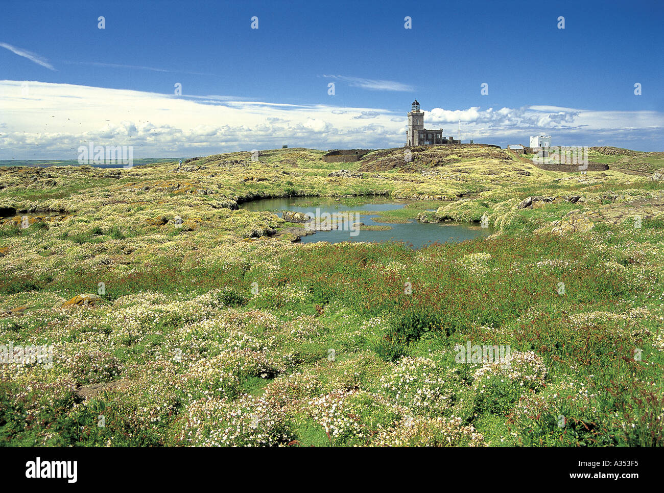 Isle of May Stock Photo - Alamy