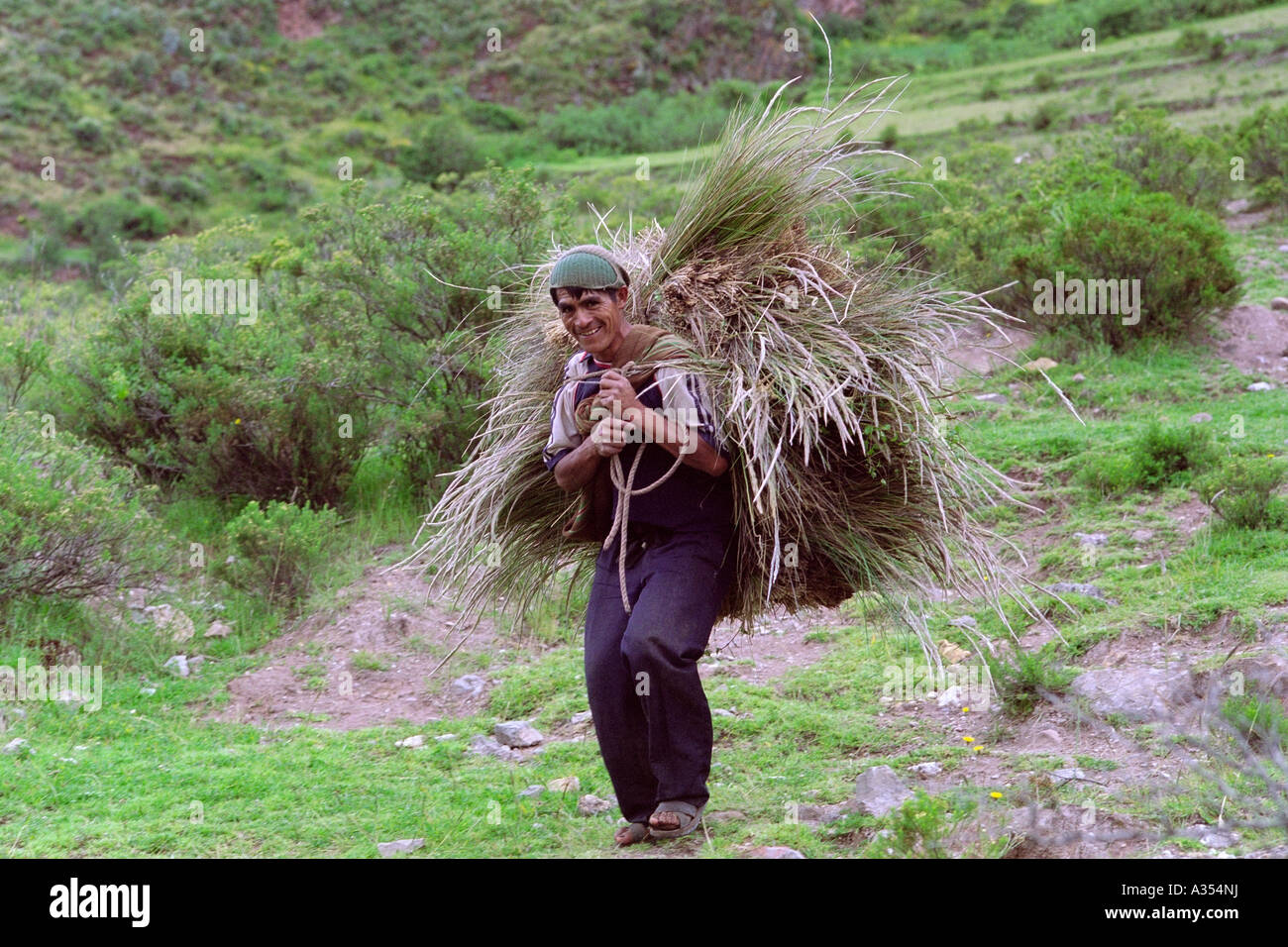 Farming farmer indigena valle sagrada hi-res stock photography and ...