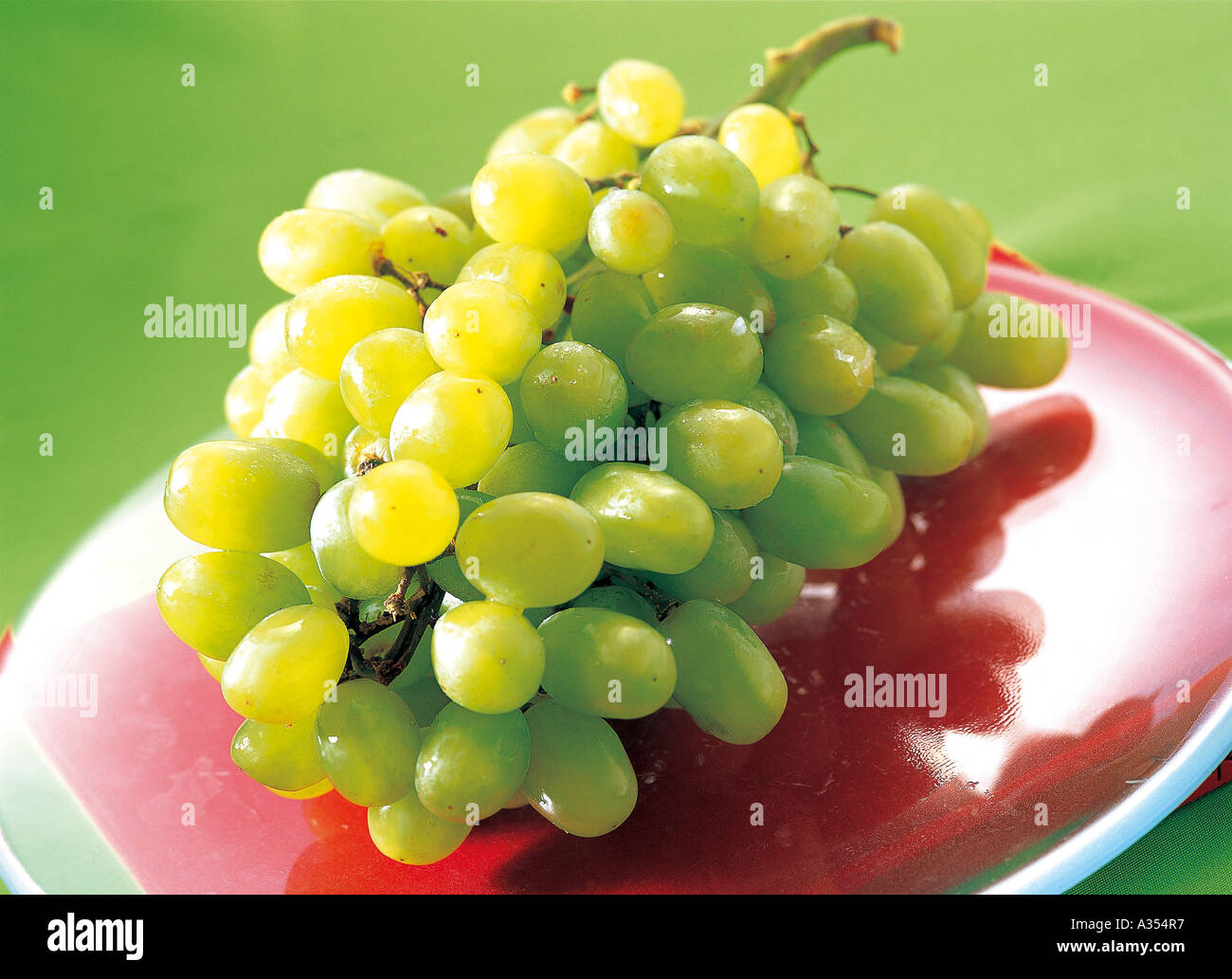 Desert fruit indoor still inanimate life objects hi-res stock ...