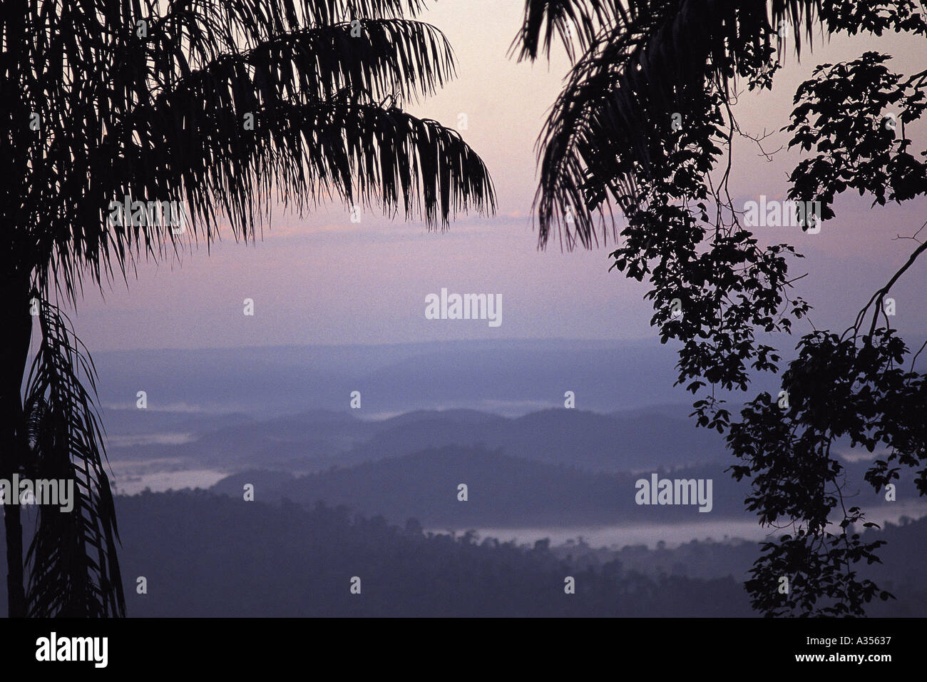 Dawn over the amazon rainforest hi-res stock photography and images - Alamy