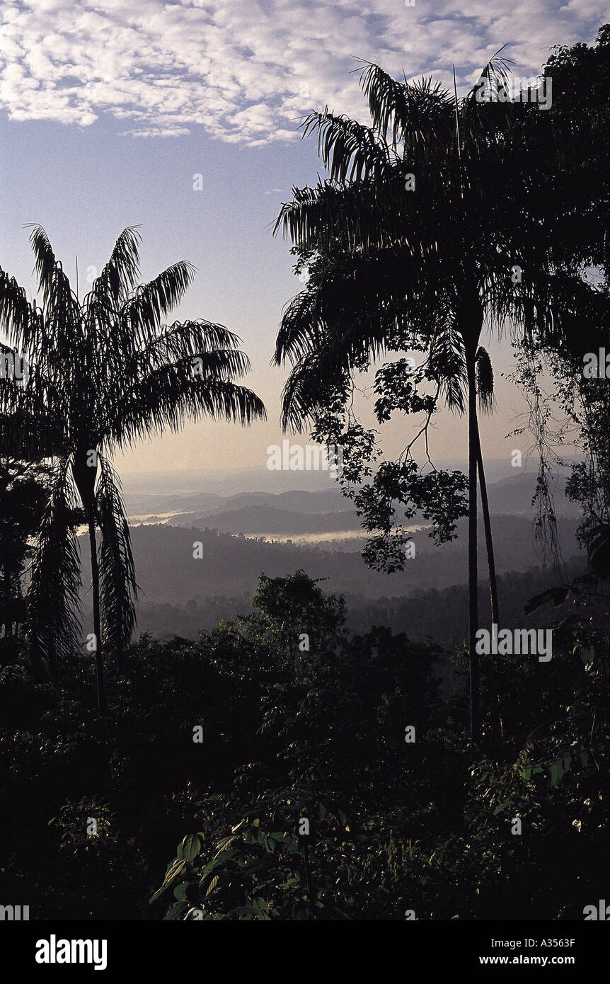 Amazonian brazil dawn hi-res stock photography and images - Alamy