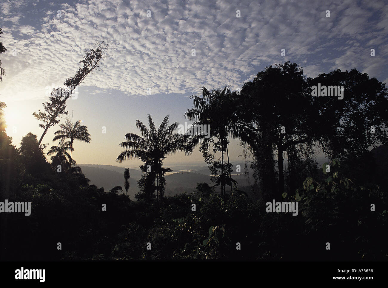 Amazonian brazil dawn hi-res stock photography and images - Alamy