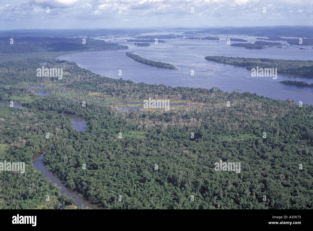 Amazon Basin Para State Brazil Xingu river at high water showing ...