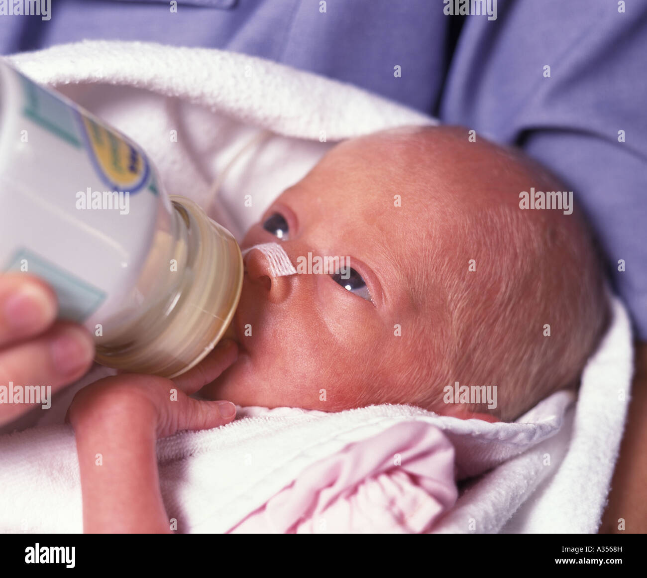 Premature feeding hi-res stock photography and images - Alamy