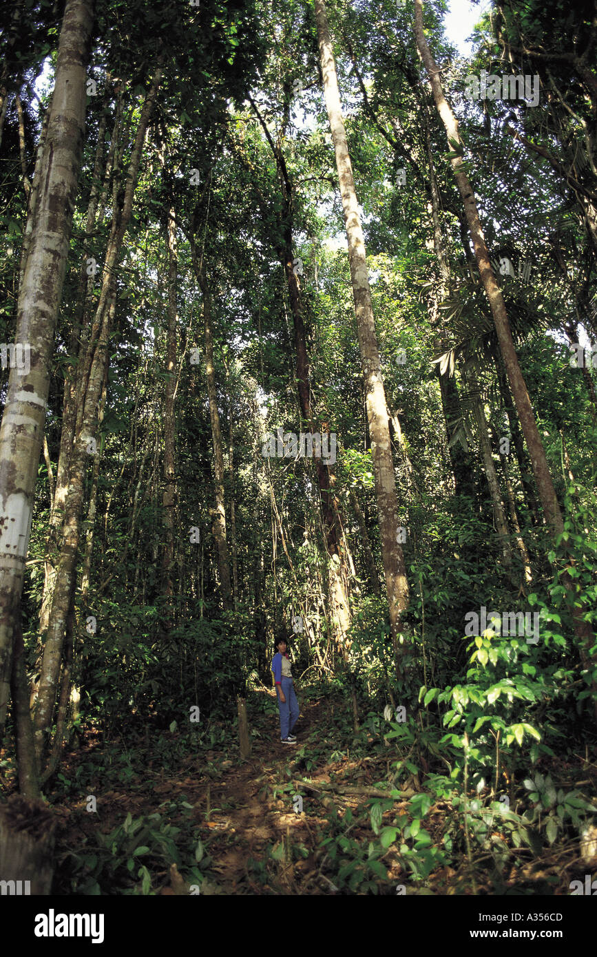 Juruena river hi-res stock photography and images - Alamy