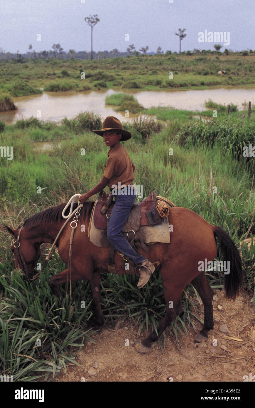 Amazon Brazil Boy wearing a cowboy hat riding a horse in an area of ...