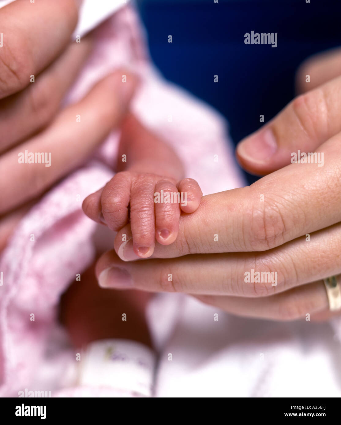 Premature baby hand hi-res stock photography and images - Alamy