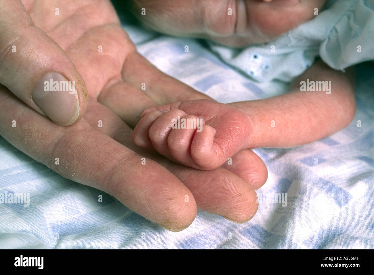Baby and parents hands Stock Photo - Alamy