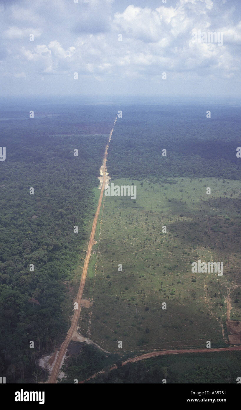 Amazon cattle ranching hi-res stock photography and images - Alamy