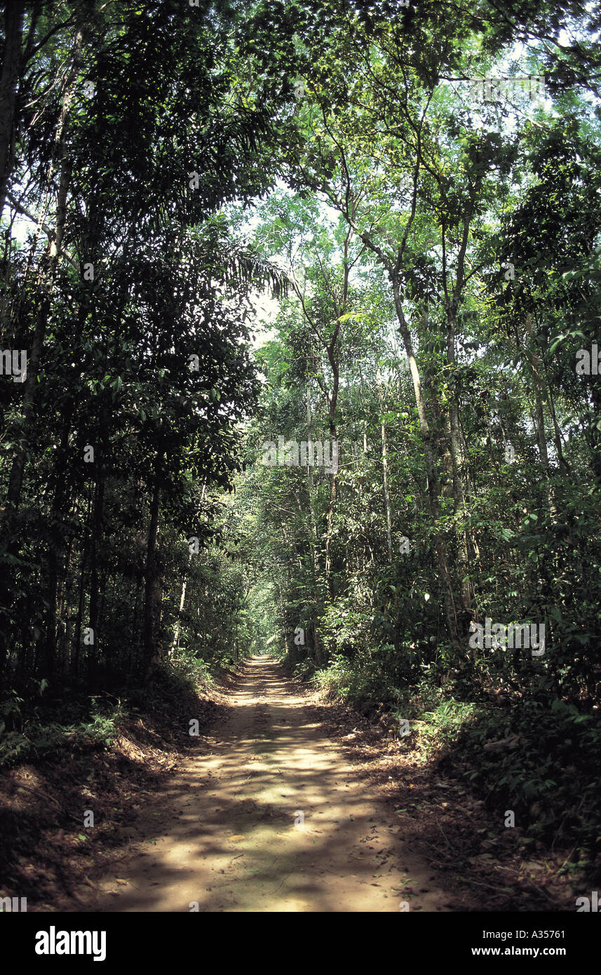 Amazonian settler hi-res stock photography and images - Alamy