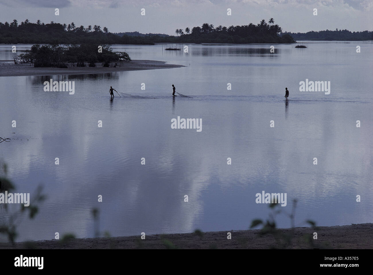 Fishing in mangroves brazil hi-res stock photography and images - Alamy