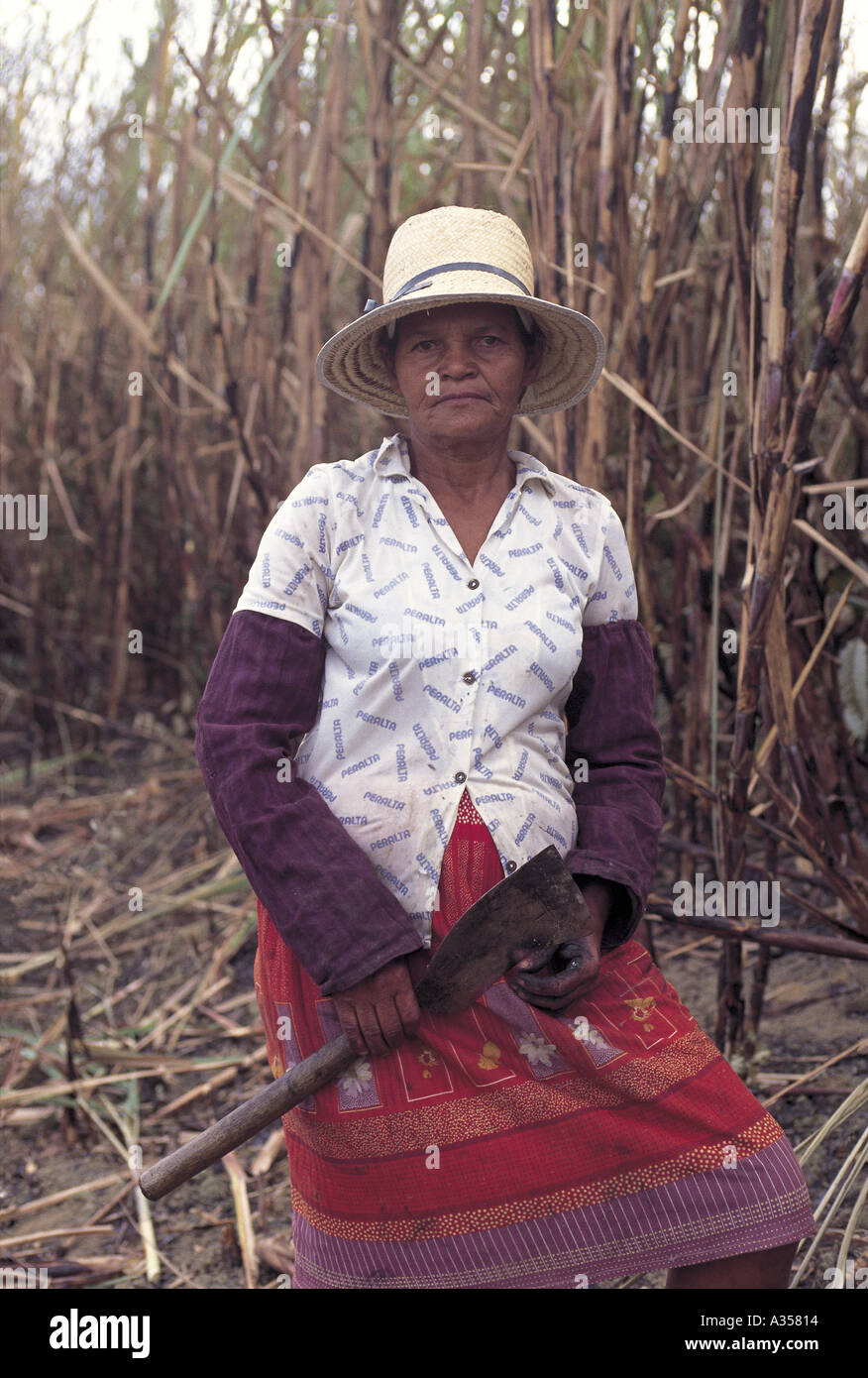 Sugar cane worker Stock Photo - Alamy